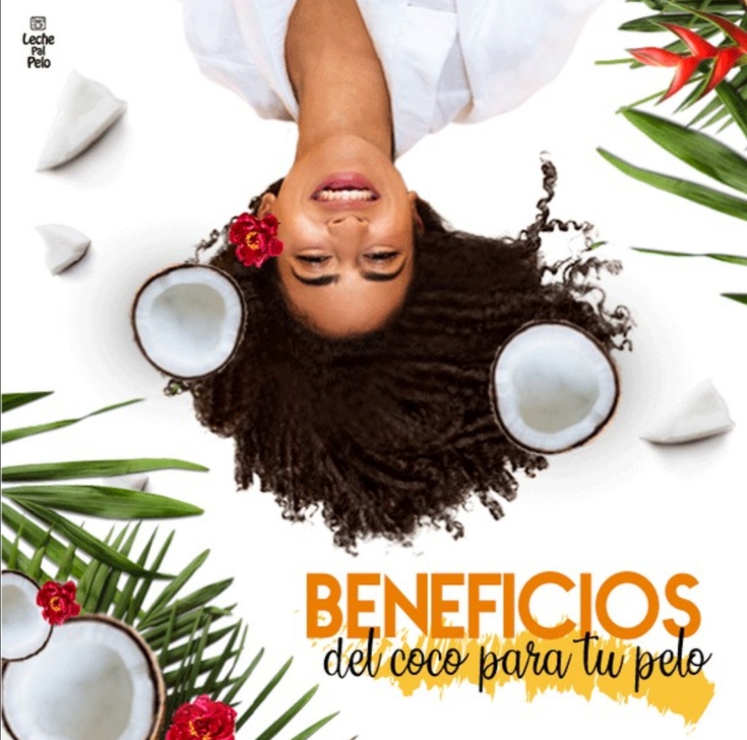 BENEFICIOS DEL COCO PARA TU PELO | Blogs | Catálogo de Servicios