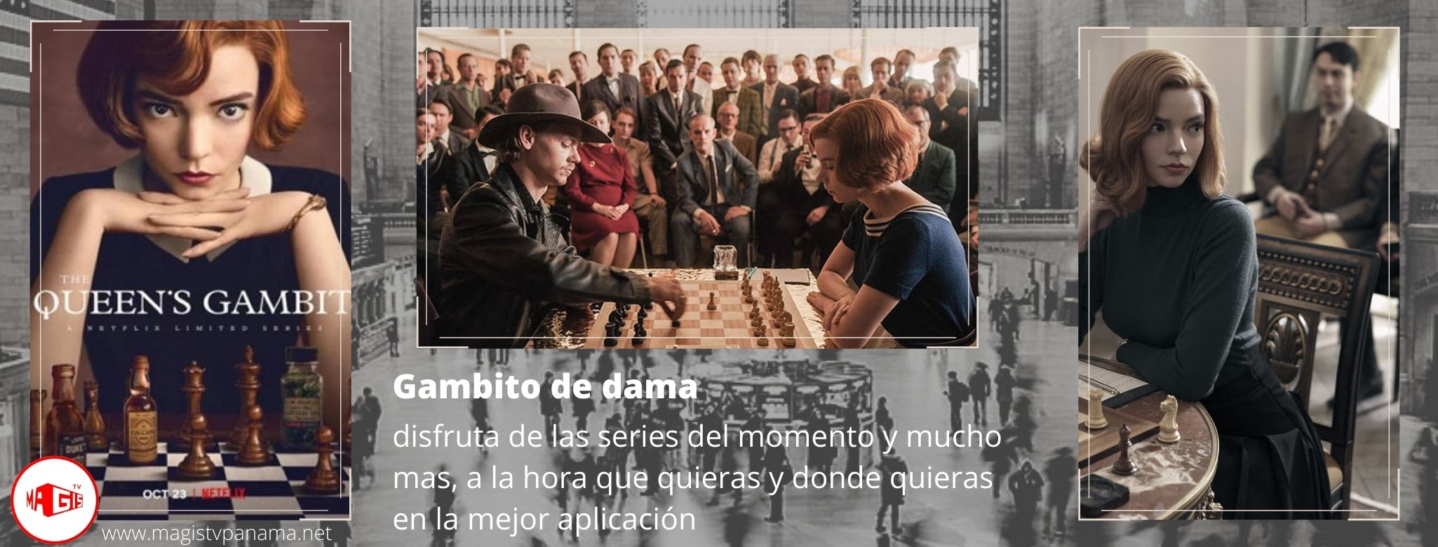 Gambito de Dama | Blogs | Catálogo de Servicios